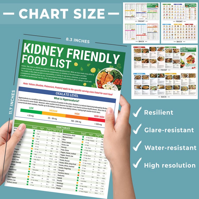 3pcs Kidney Friendly Food List Chart – Diet Guide for CKD, Dialysis ...