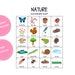 Nature Scavenger Hunt for Kids, Preschool Summer Activity, Outdoor ...