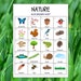 Nature Scavenger Hunt for Kids, Preschool Summer Activity, Outdoor ...