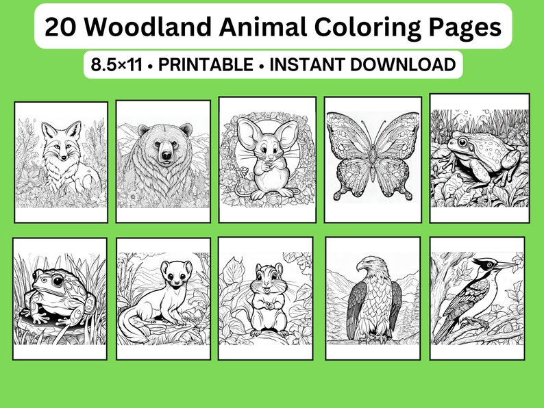 Woodland Animal Coloring Pages, Adult Teen Coloring Book, Kawaii Floral ...