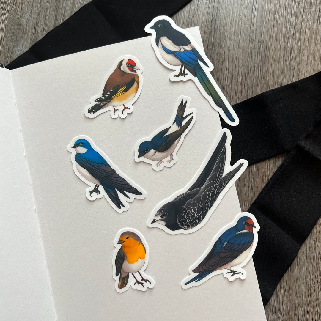 The Flying Birds Sticker, Magpie, Swallow, Robin, Tree Swallow, House ...