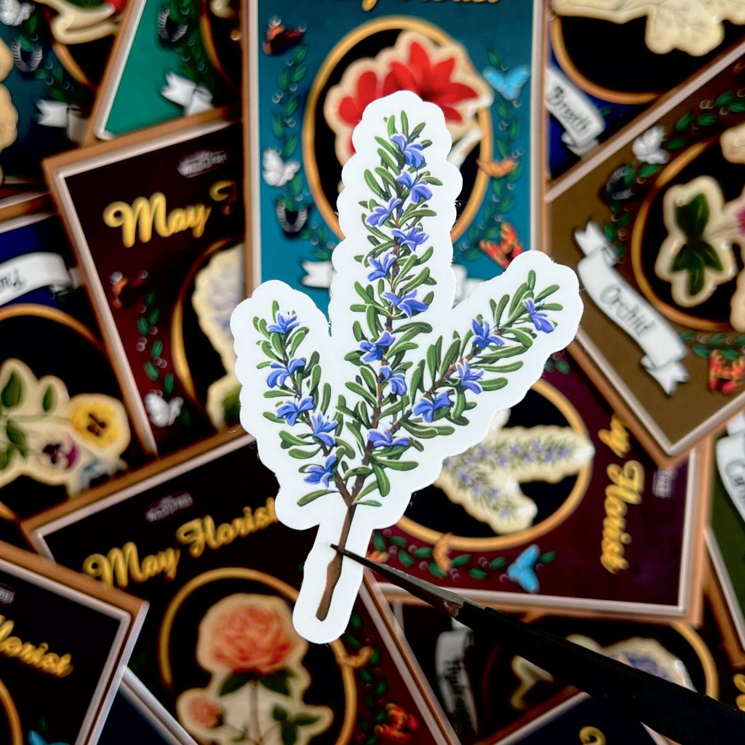 Rosemary Sticker - Etsy