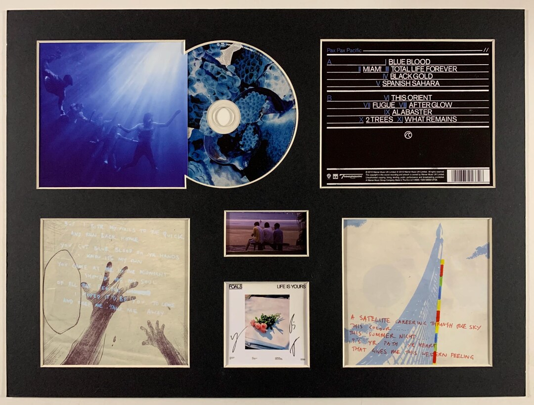 FOALS - Total Life Forever - Album Display Deluxe - Etsy