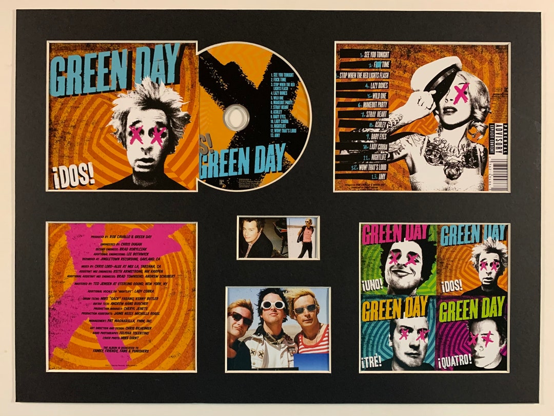 Green Day Dos Album Display Deluxe Etsy