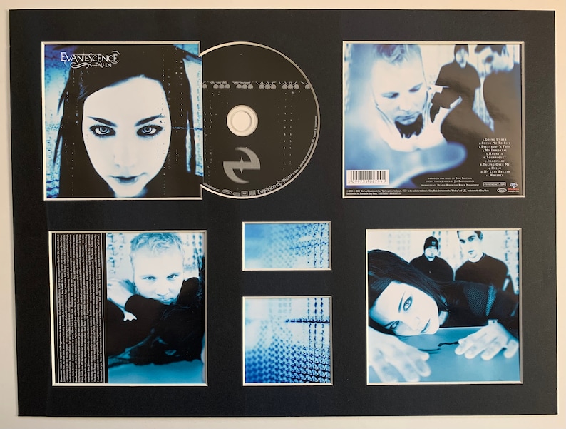EVANESCENCE - Fallen - Album Display Deluxe - Etsy