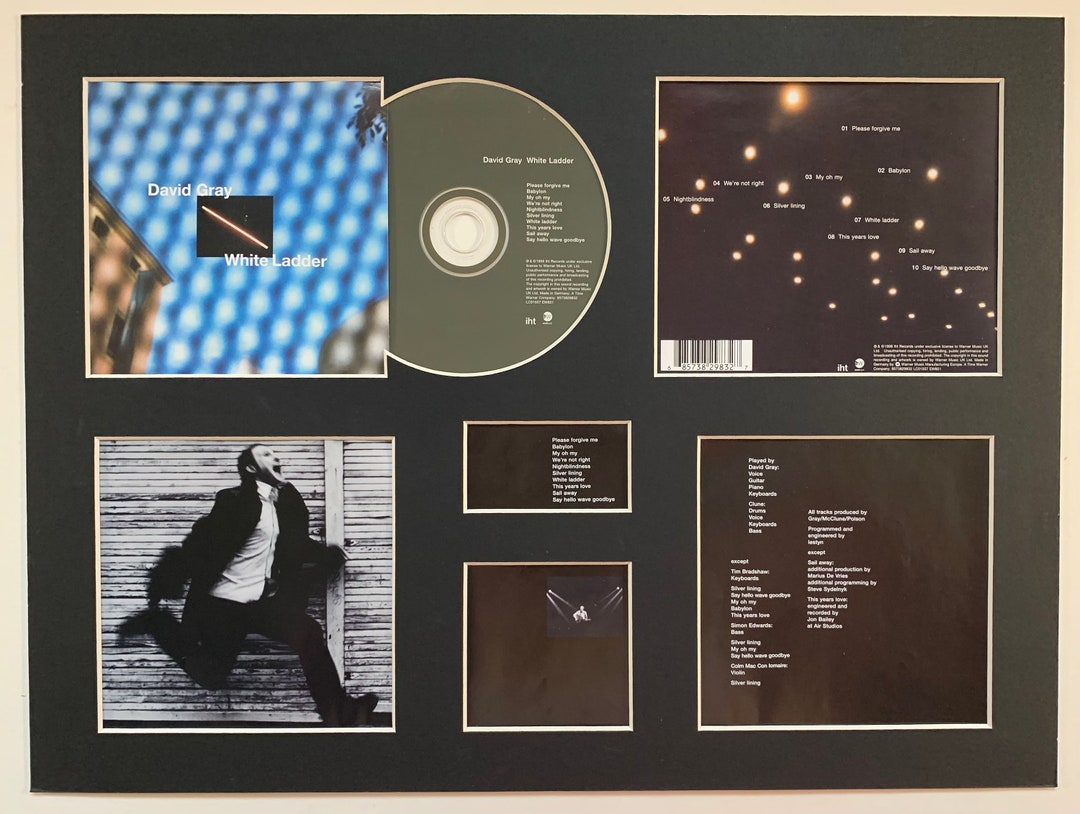DAVID GRAY - White Ladder - Album Display Deluxe - Etsy
