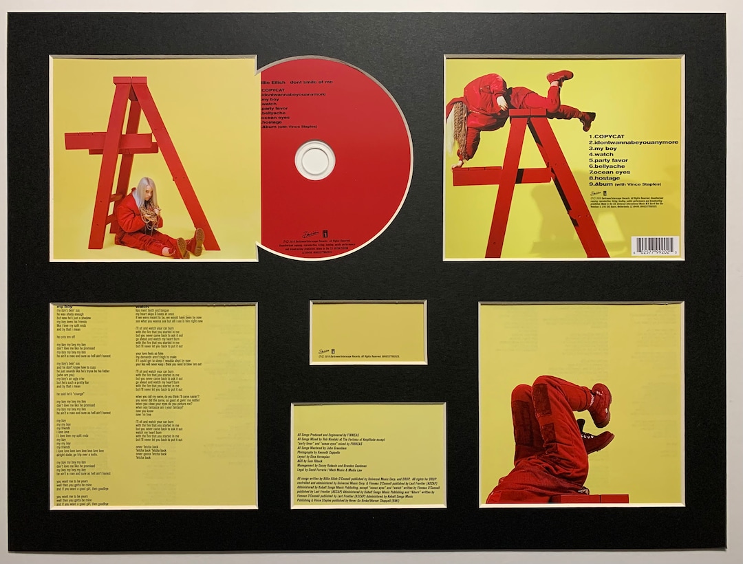 BILLIE EILISH - Dont Smile at Me - Album Display Deluxe - Etsy