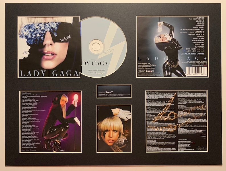 LADY GAGA - the Fame - Album Display Deluxe - Etsy