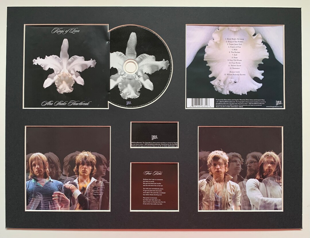 KINGS OF LEON - Aha Shake Heartbrake - Album Display Deluxe - Etsy
