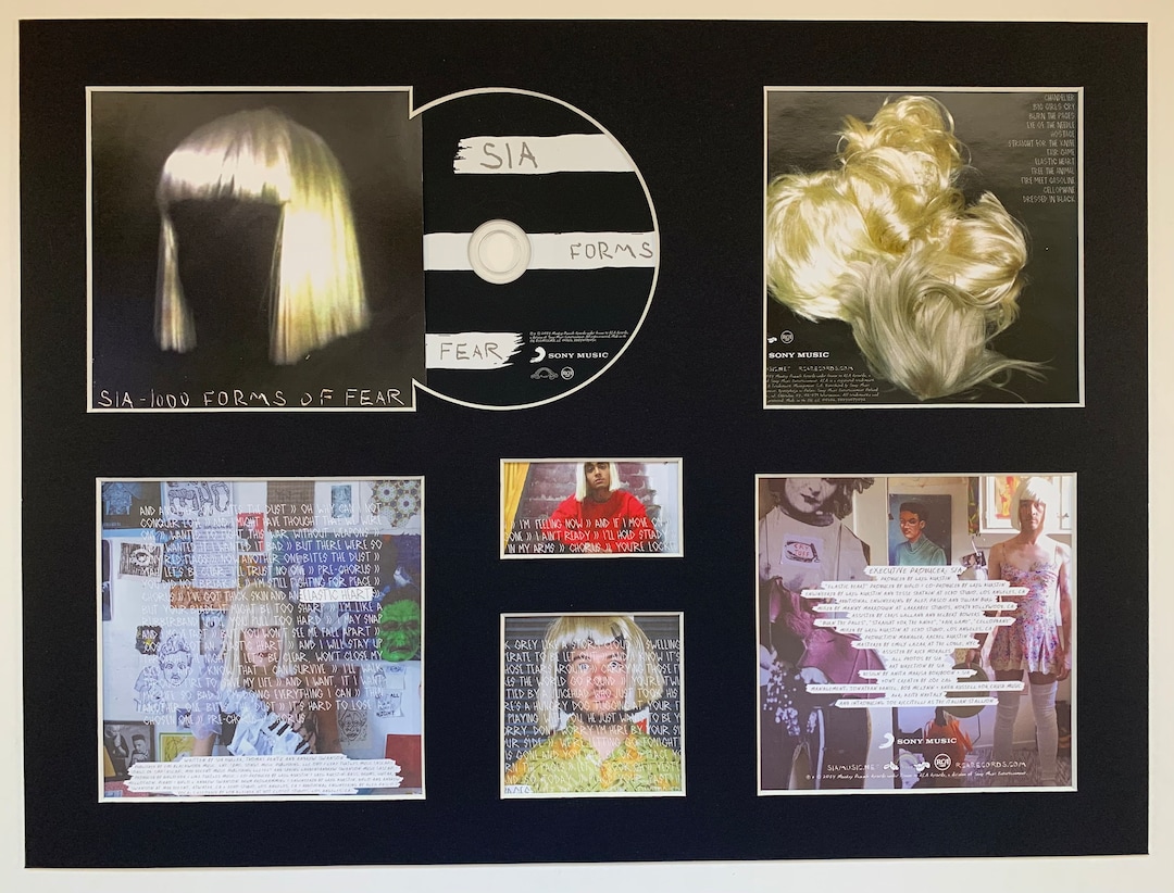 SIA - 1000 Forms of Fear - Album Display Deluxe - Etsy