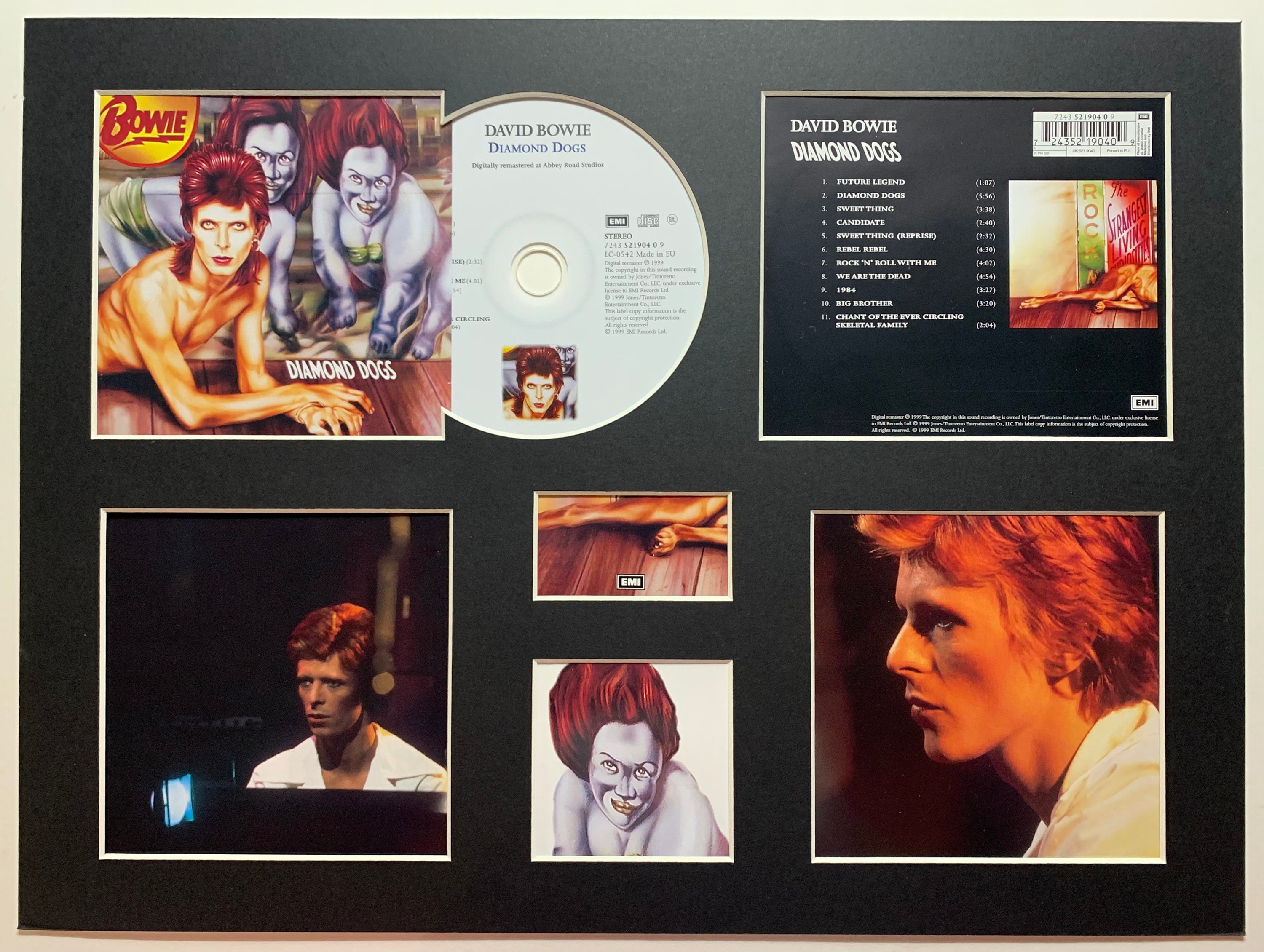 DAVID BOWIE - Diamond Dogs - Album Display Deluxe - Etsy