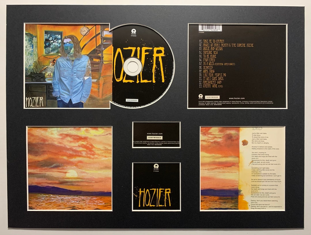 HOZIER Hozier Album Display Deluxe - Etsy