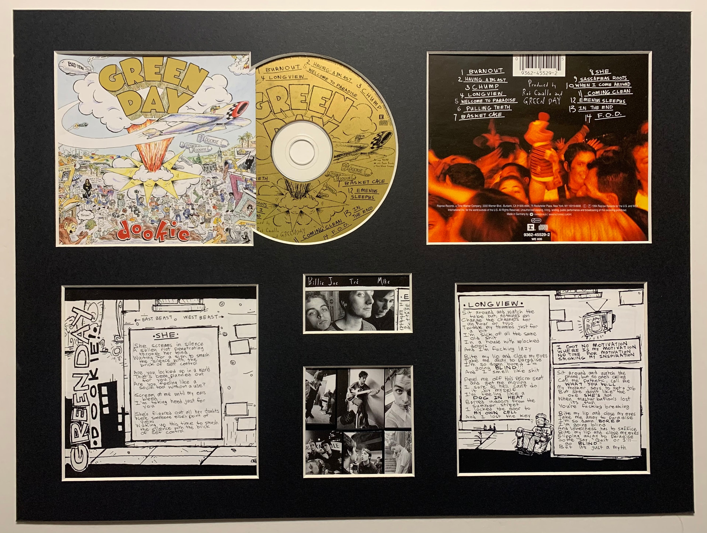 GREEN DAY - Dookie - Album Display Deluxe - Etsy