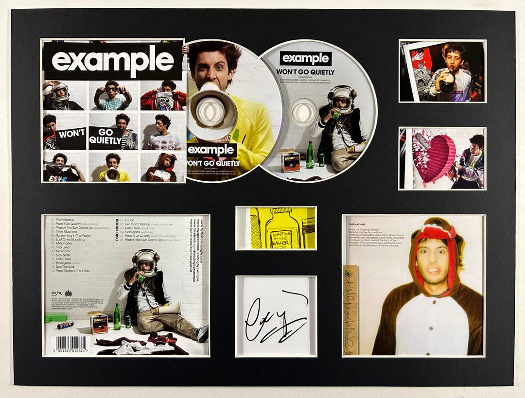 EXAMPLE - Won't Go Quietly - Album Display 2 - Etsy