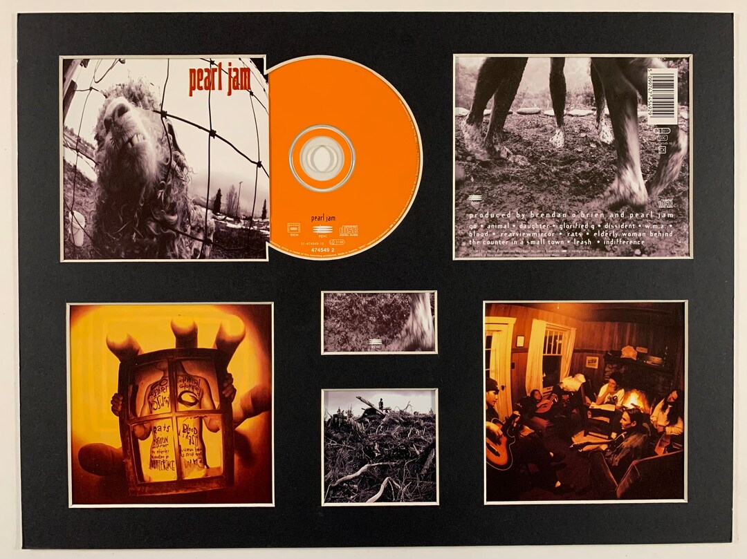 PEARL JAM - Vs - Album Display Deluxe - Etsy