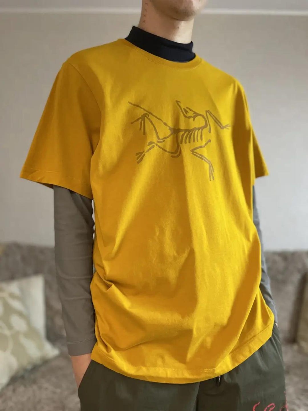 ARCTERYX Big Logo Skeletal T-shirt M Medium Outdoorwear,streetstyle ...
