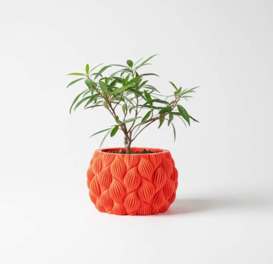 Luxury, Sculptural Modern Planter , 3D Printed Indoor Plant & Succulent ...