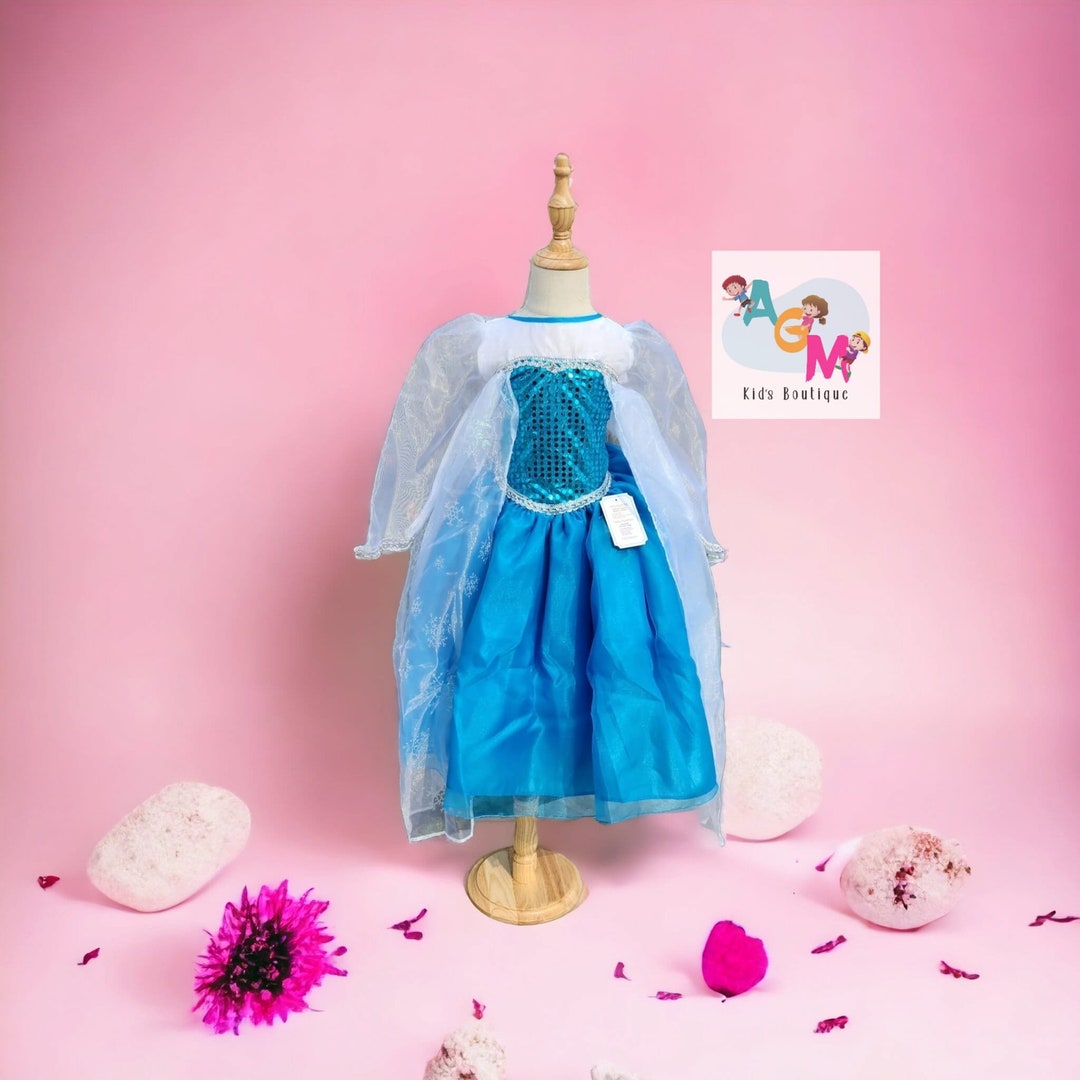 Elsa Frozen Dress Birthday Dress Dress For Photo Shoot Elsa Frozen Costume Disney Inspired