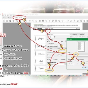 CHS-01 PRINTABLE LABELS Herbs and Spices | Printable Herbs and Spices ...