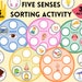 Five Senses Sorting Activity - Printable - Instant Download File ...