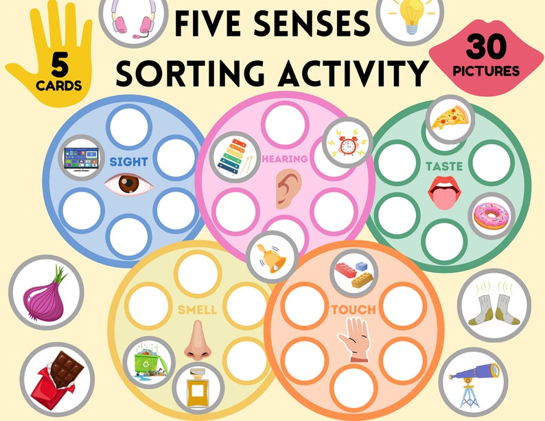 Five Senses Sorting Activity - Printable - Instant Download File ...