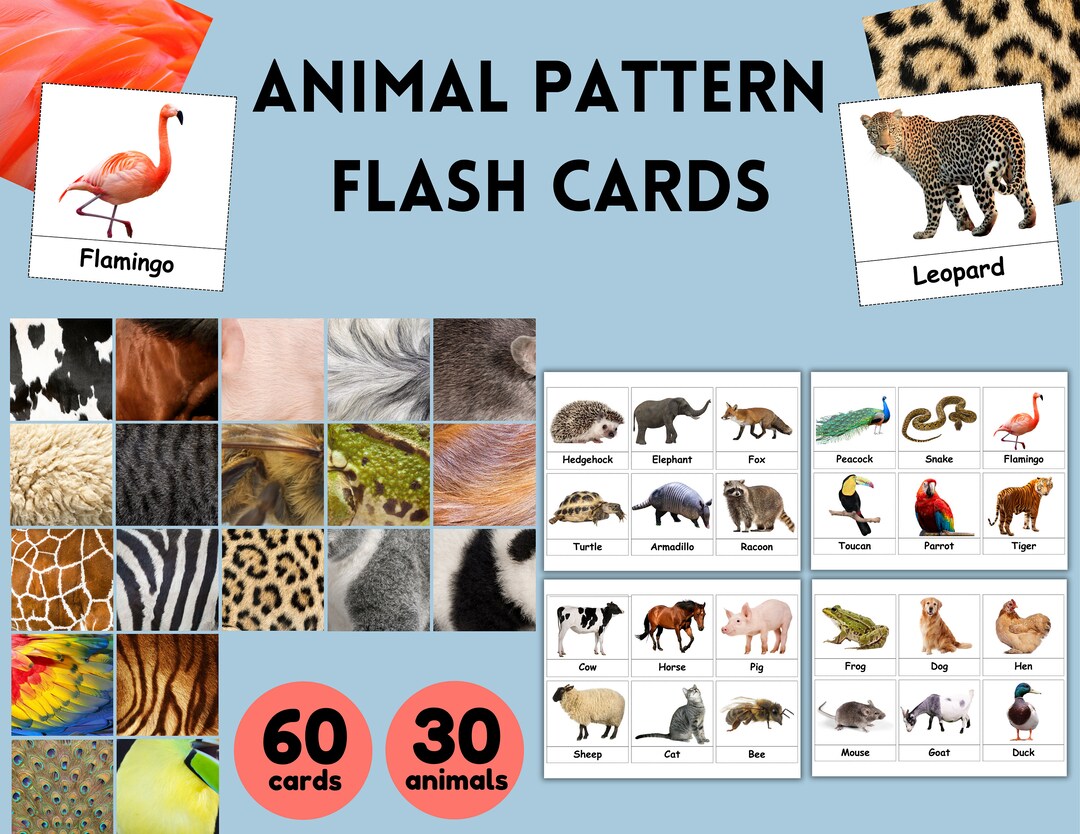 Montessori Animal & Animal Pattern Matching Printable Cards,animals ...
