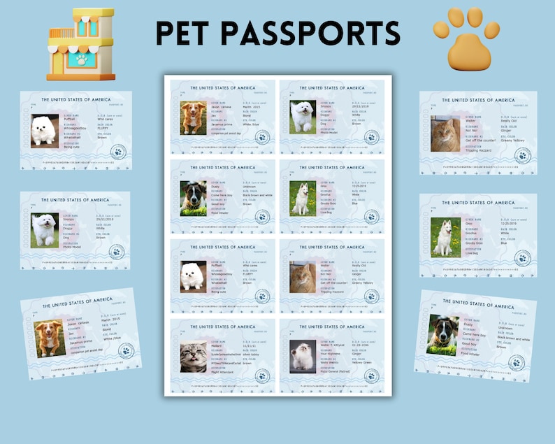 Vet Clinic Pretend Play Printable Set, Kids Activities (digital ...