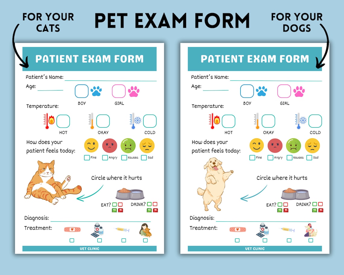 Vet Clinic Pretend Play Printable, Vet Dramatic Play Printable, Kids ...