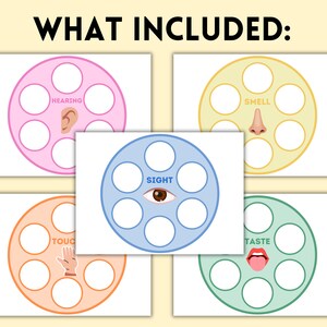 Five Senses Sorting Activity - Printable - Instant Download File ...