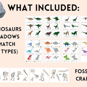 Dinosaur Unit Study Preschool Curriculum | Printable Learning ...