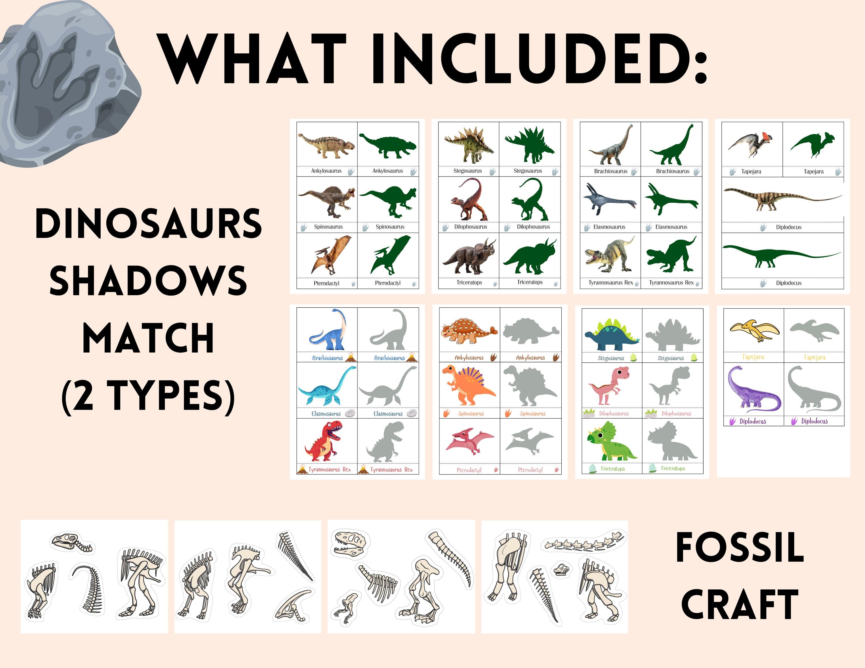 Dinosaur Unit Study Preschool Curriculum | Printable Learning ...