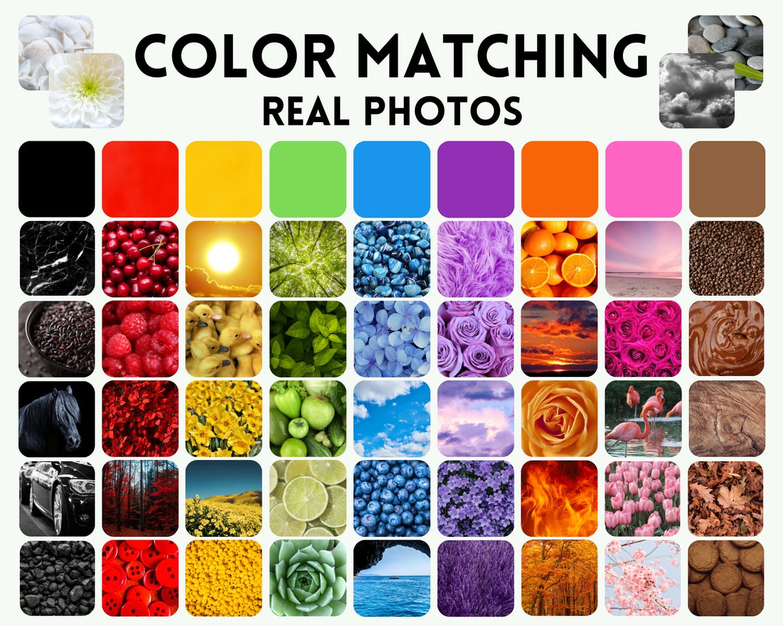 Toddler Color Matching Cards, Prek Printable PDF, Montessori, Learning ...