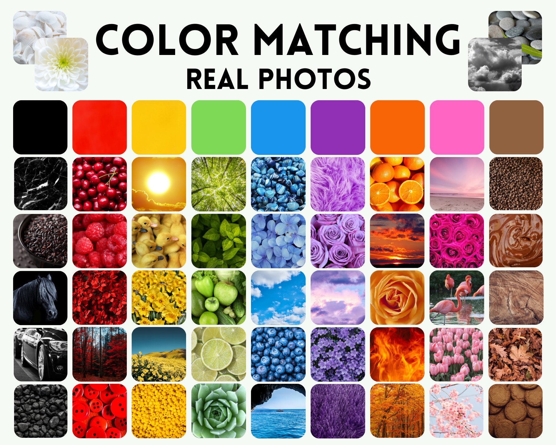 Toddler Color Matching Cards, Prek Printable PDF, Montessori, Learning ...