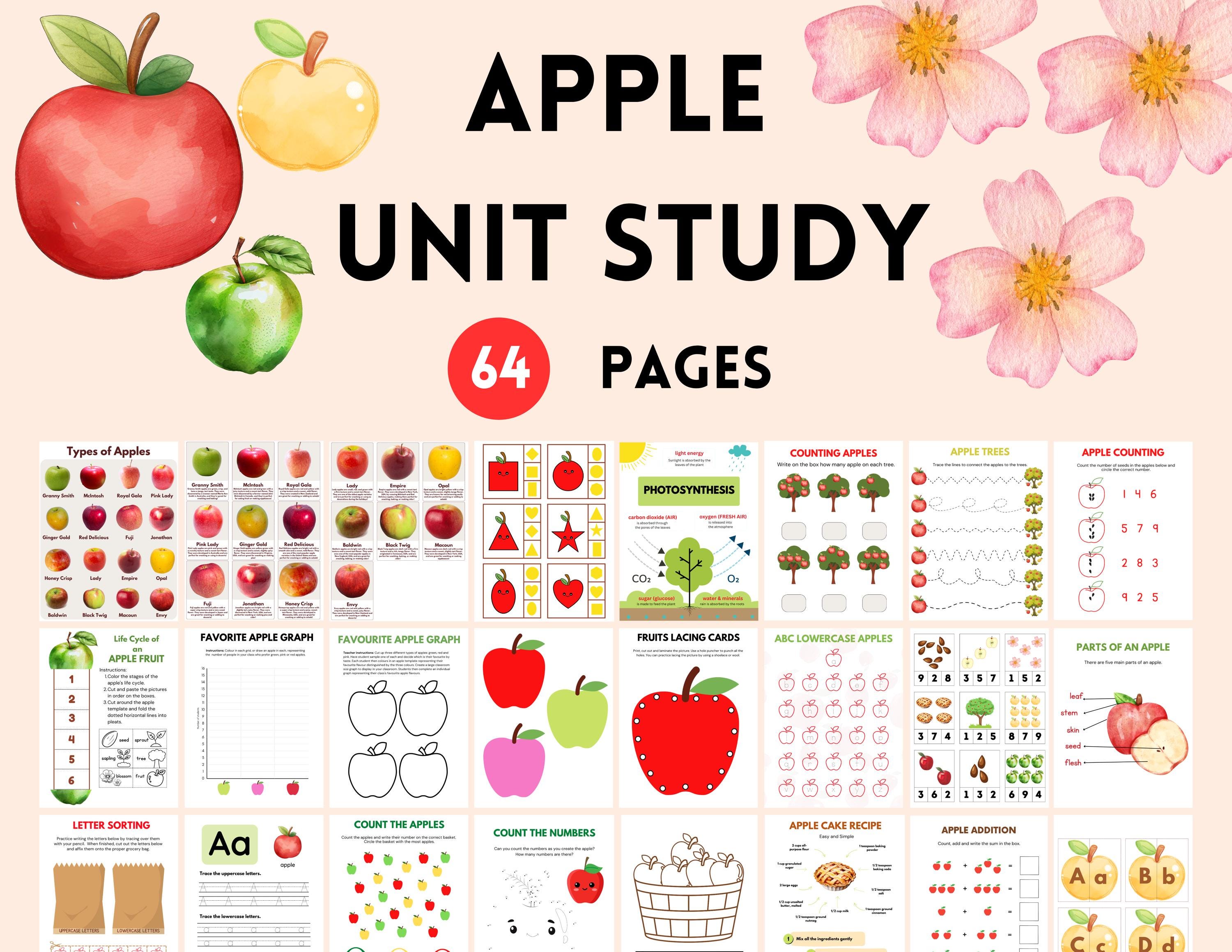 Apple Unit Study Bundle for Preschool | Montessori-inspired Curriculum ...
