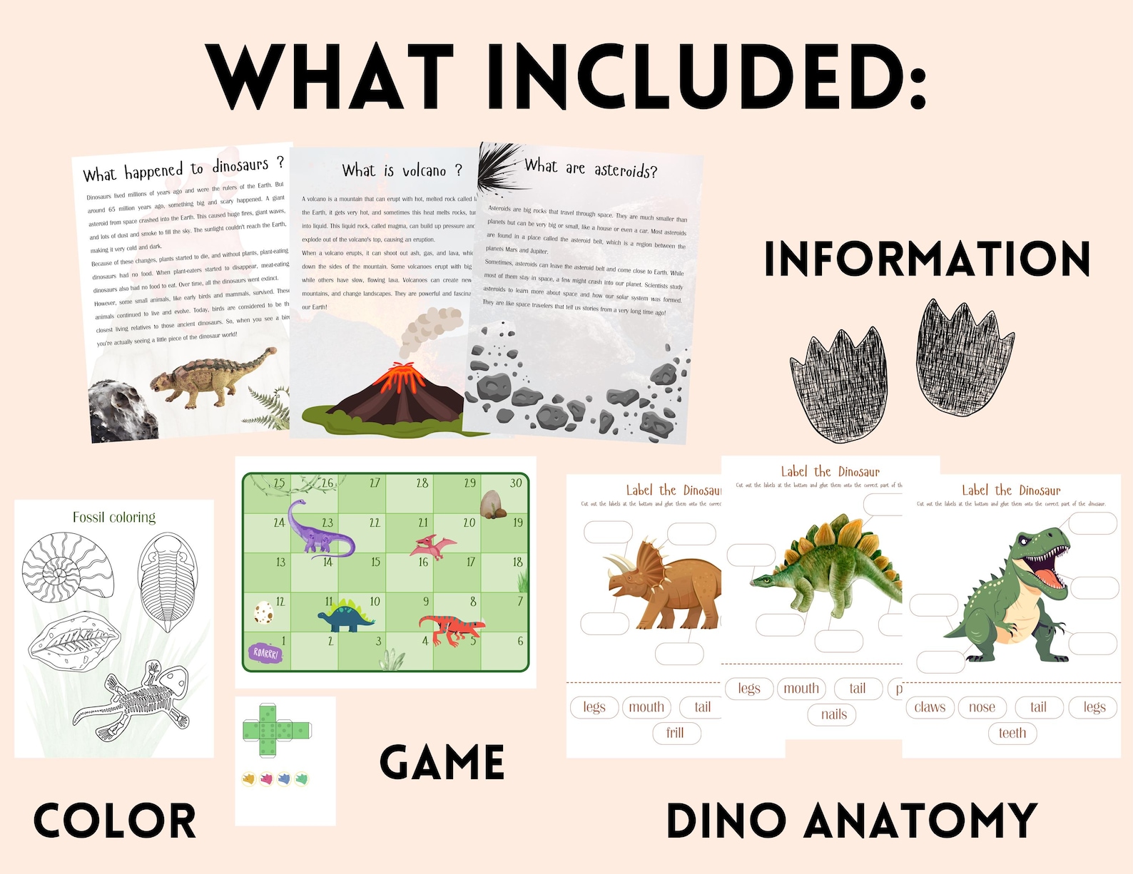 Dinosaur Unit Study Preschool Curriculum | Printable Learning ...