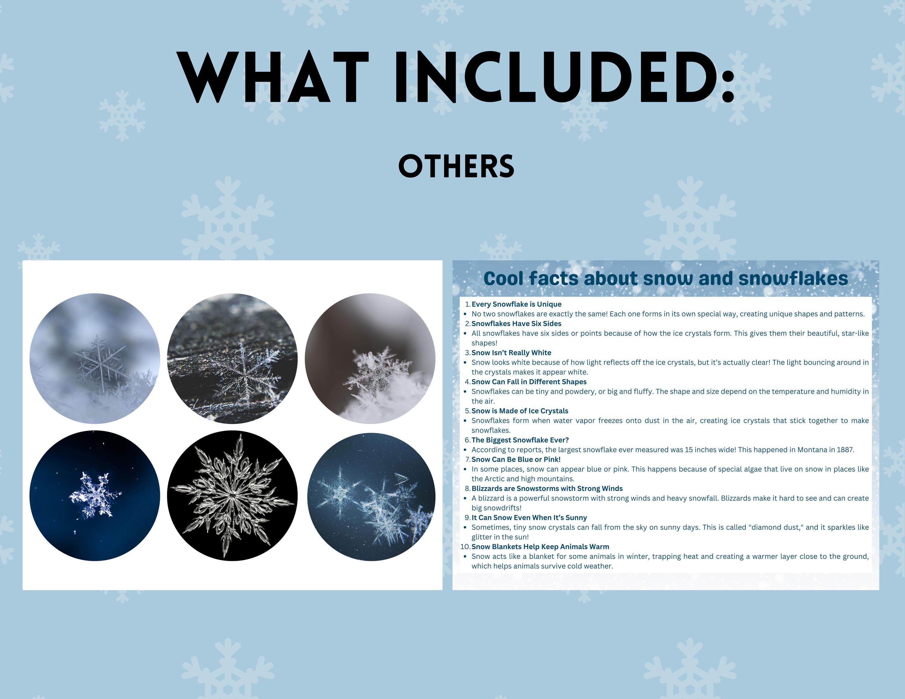 Snow Unit Study & Snowflakes Printable Bundle | Winter Homeschool ...