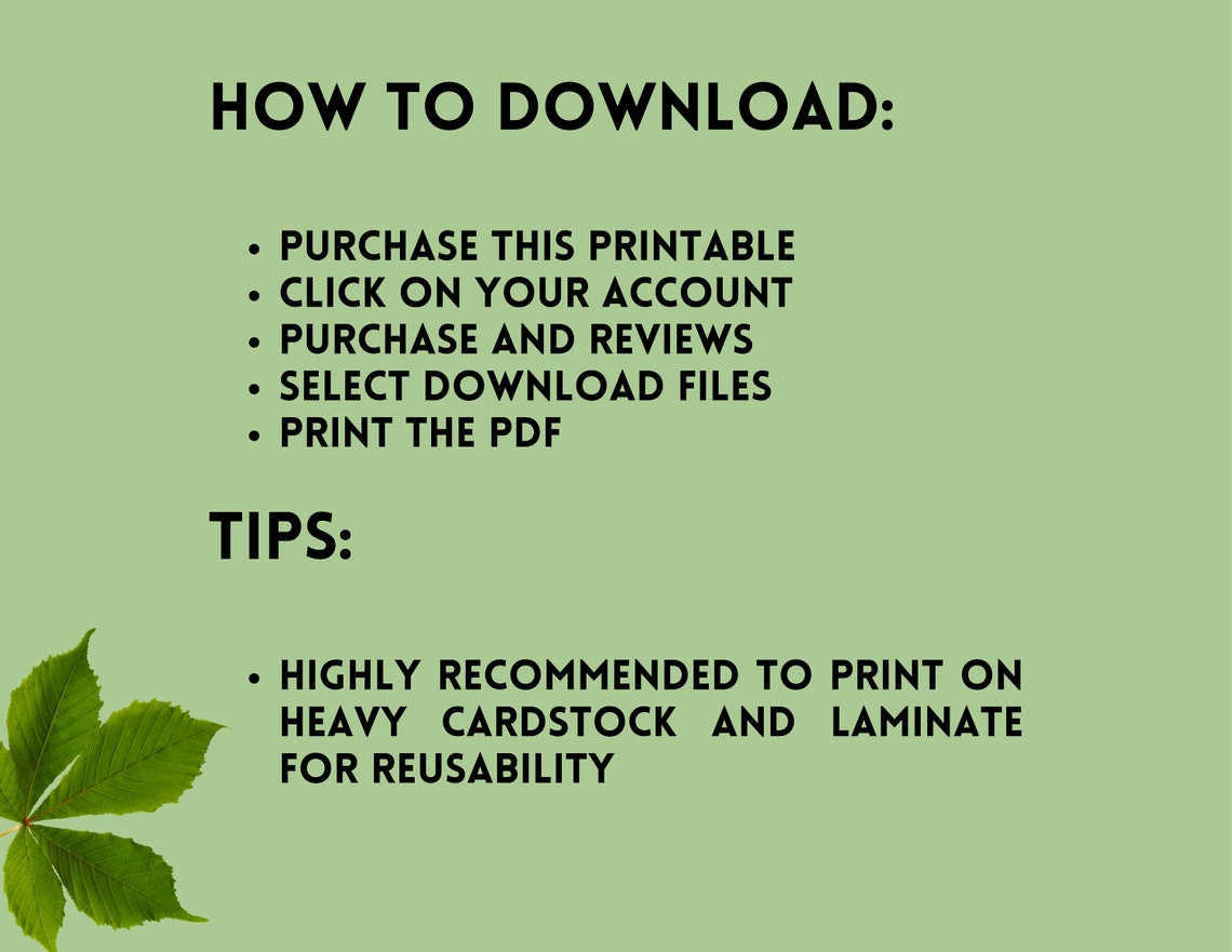 Leaves Flash Cards Leaf Identification Montessori Education Homeschool ...