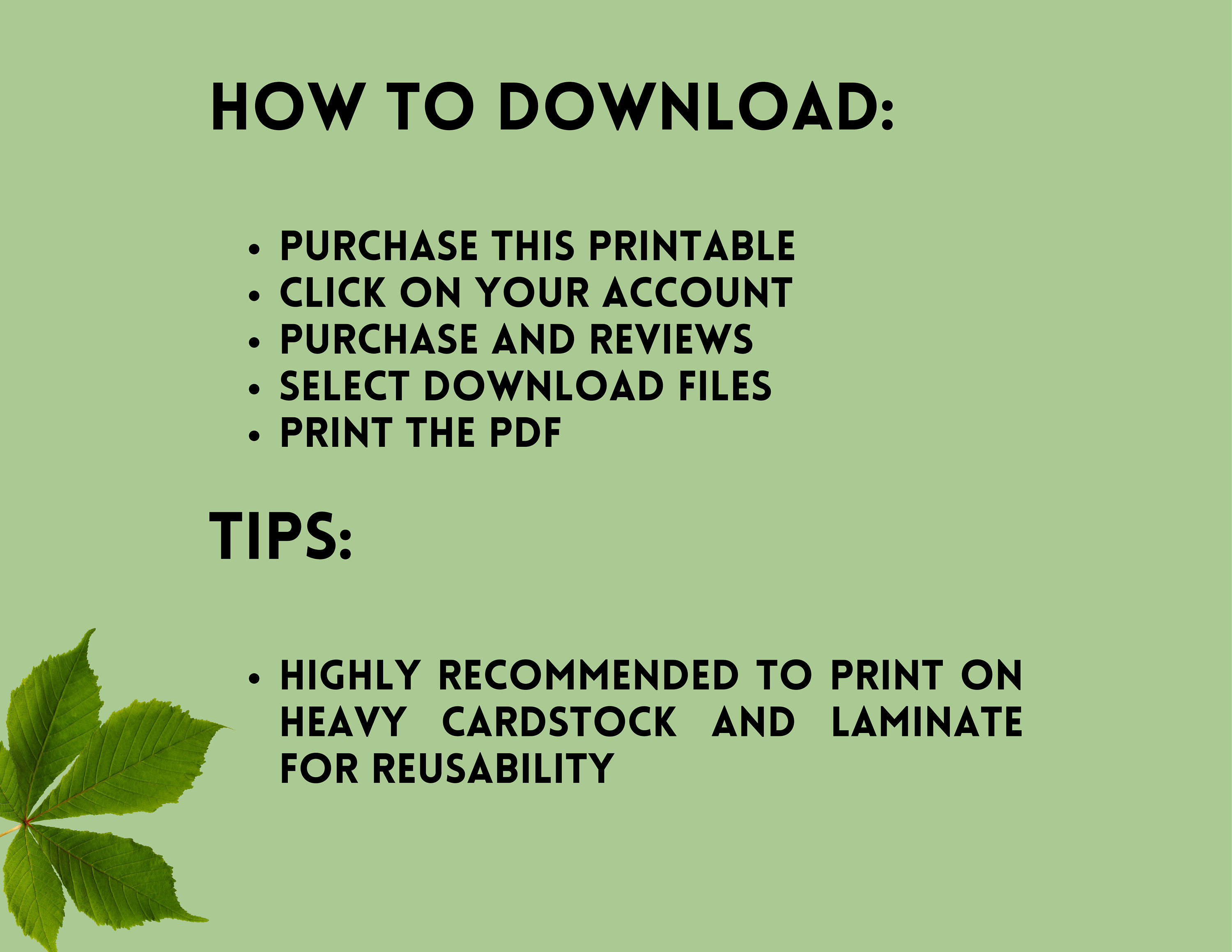 Leaves Flash Cards Leaf Identification Montessori Education Homeschool ...