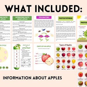 Apple Unit Study Bundle for Preschool | Montessori-inspired Curriculum ...