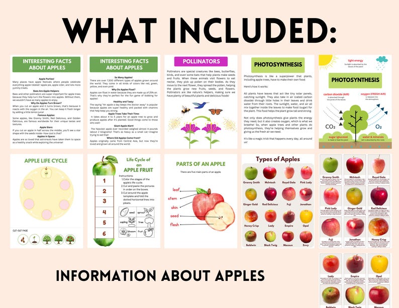 Apple Unit Study Bundle for Preschool | Montessori-inspired Curriculum ...