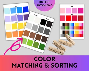 Color Matching & Sorting Activity With Clothespins Fine Motor Skills - Etsy