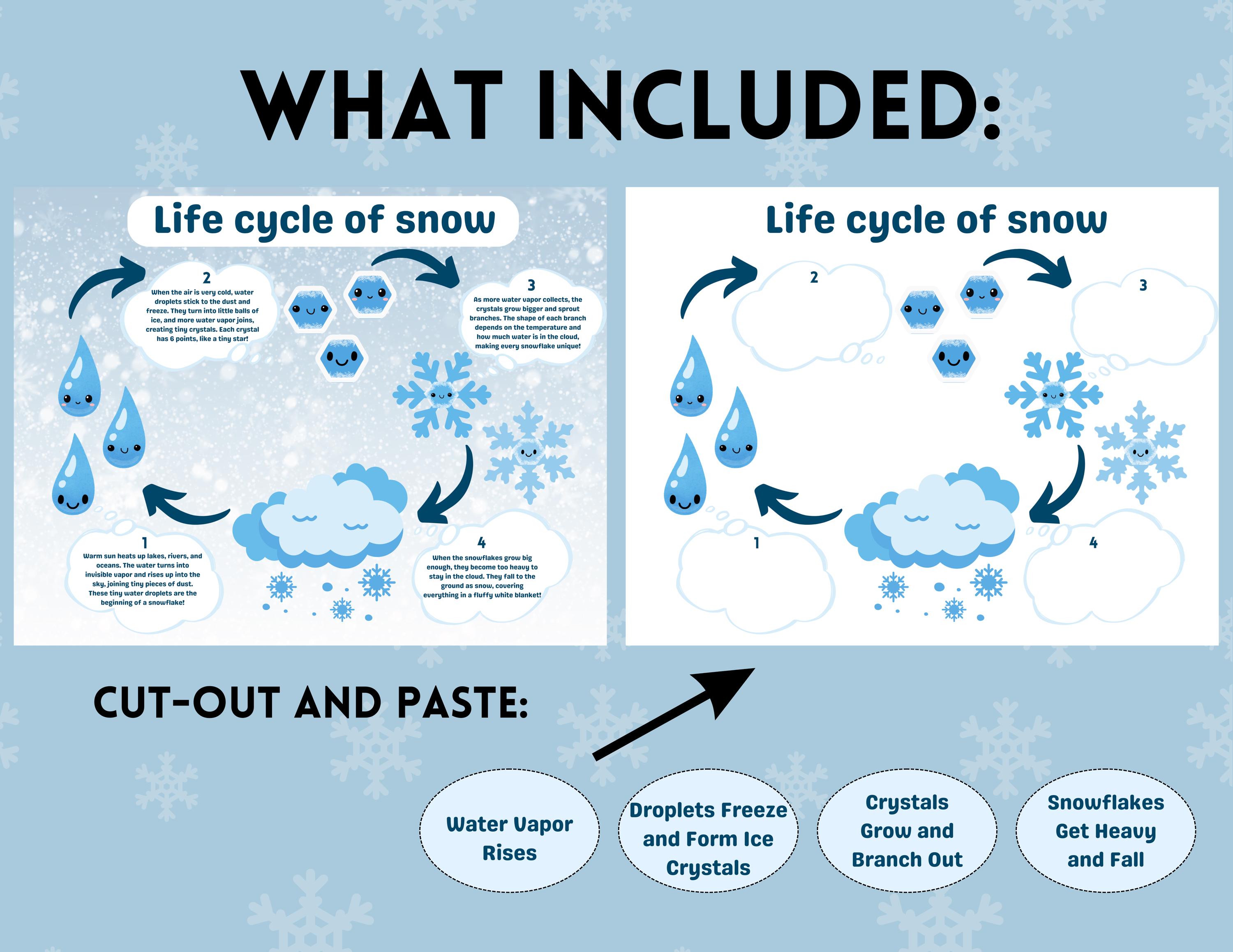 Snow Unit Study & Snowflakes Printable Bundle | Winter Homeschool ...