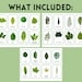 Leaves Flash Cards Leaf Identification Montessori Education Homeschool ...