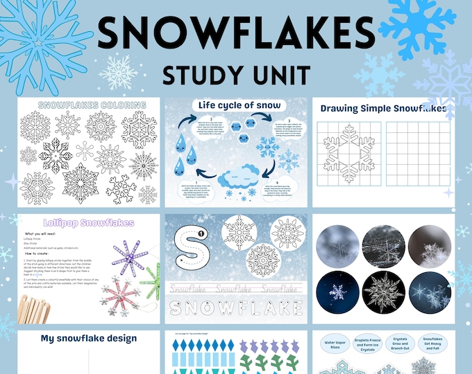 Life Cycle of a Snowflake Worksheet, Types of Precipitation, Winter ...