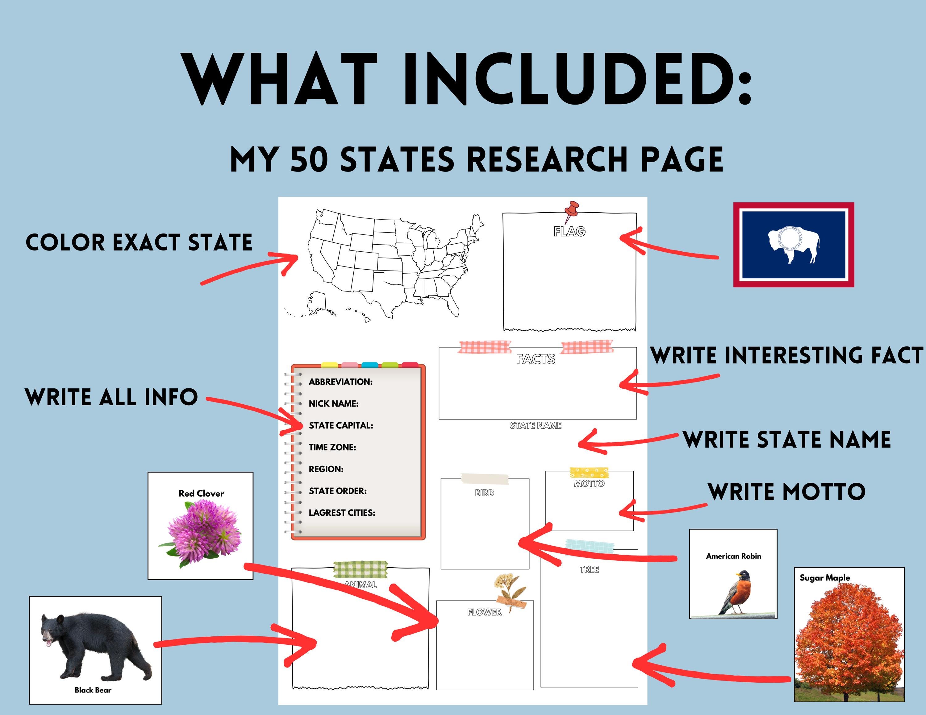 USA Unit Study Printable Homeschool Activities PDF - Etsy