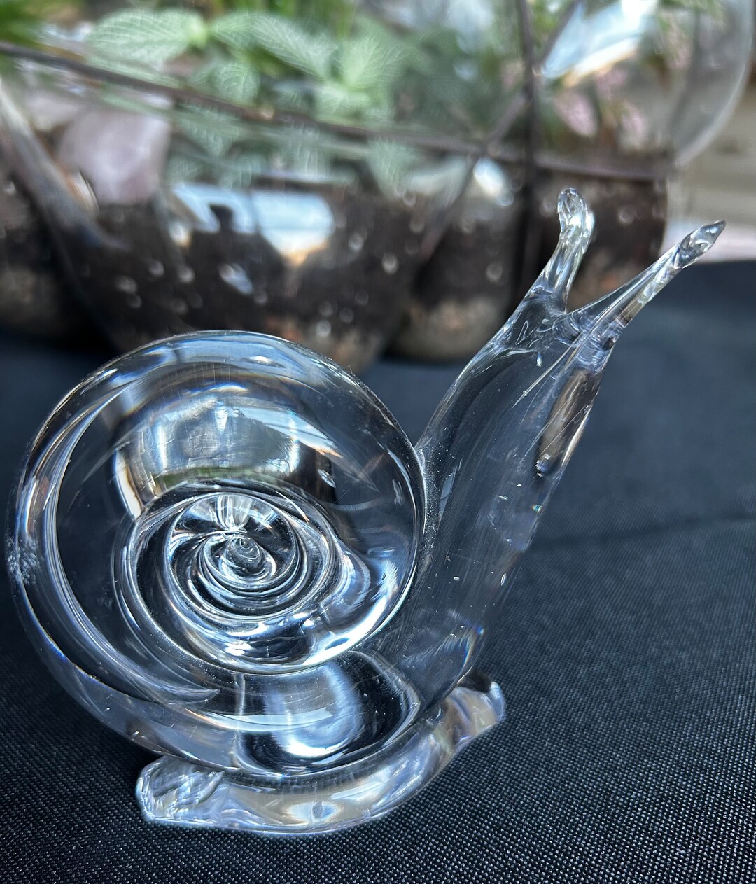 Glass Snail Hand Blown - Etsy