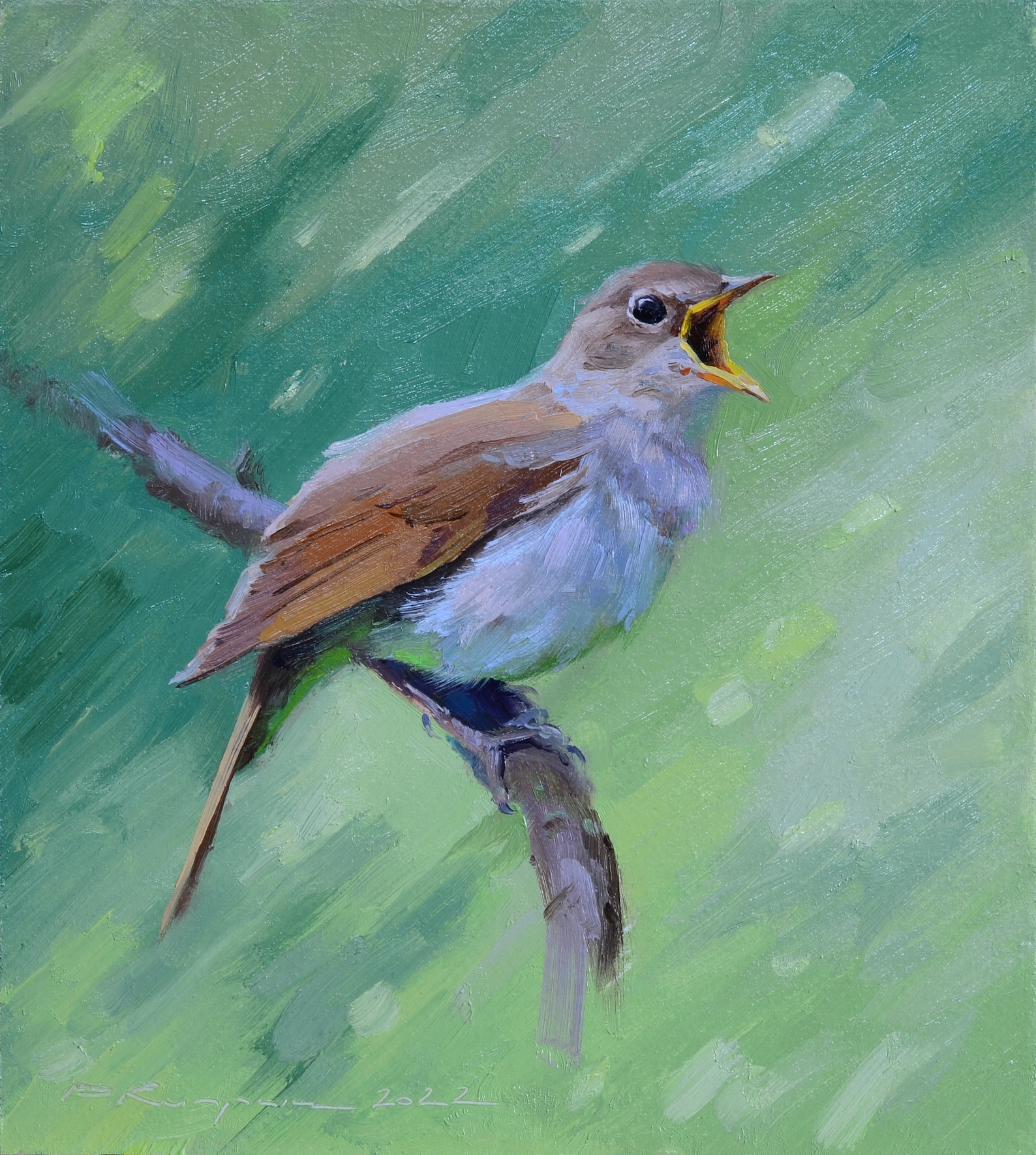 ORIGINAL OIL PAINTING Bird Drawing, Realistic Painting, Bird Painting ...
