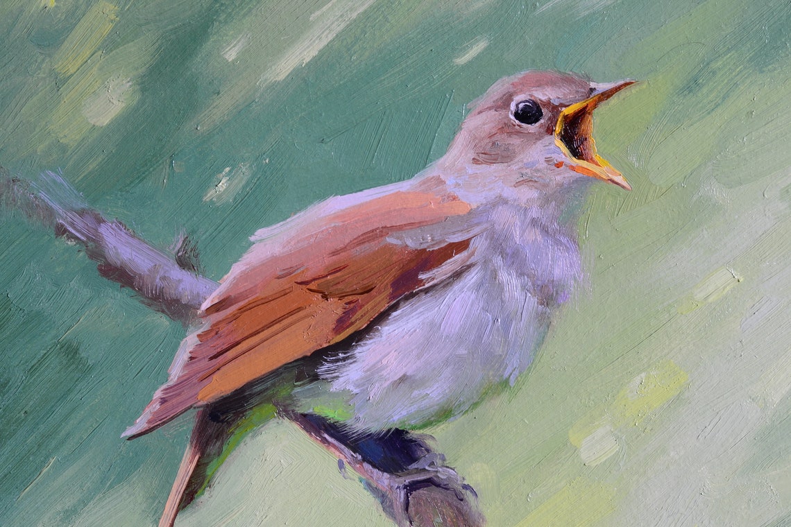 ORIGINAL OIL PAINTING Bird Drawing, Realistic Painting, Bird Painting ...