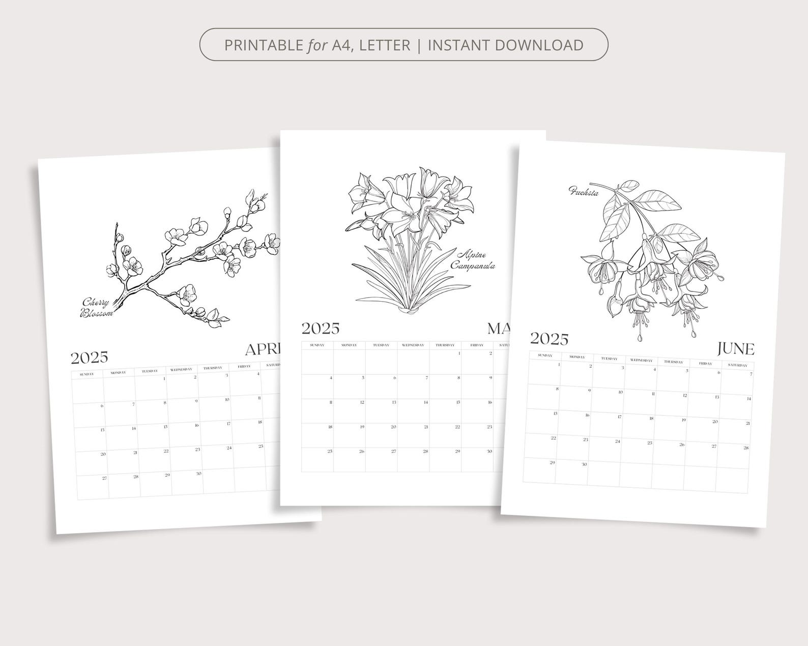 Flowers Coloring Calendar 2025 for Self-care Mood Reflection - Instant ...