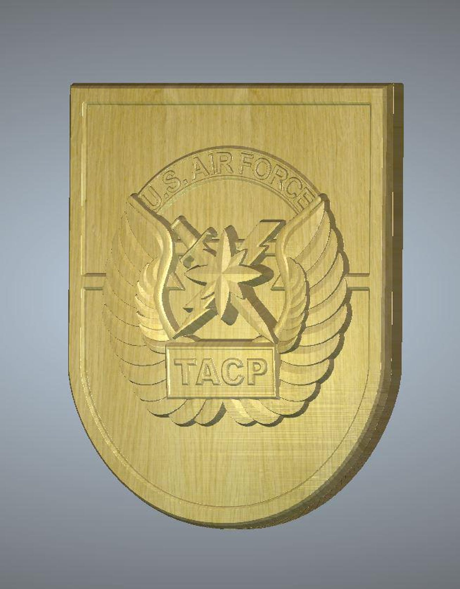 Air Force Tactical Air Control Party (TACP) Patch - 3D STL File for CNC ...